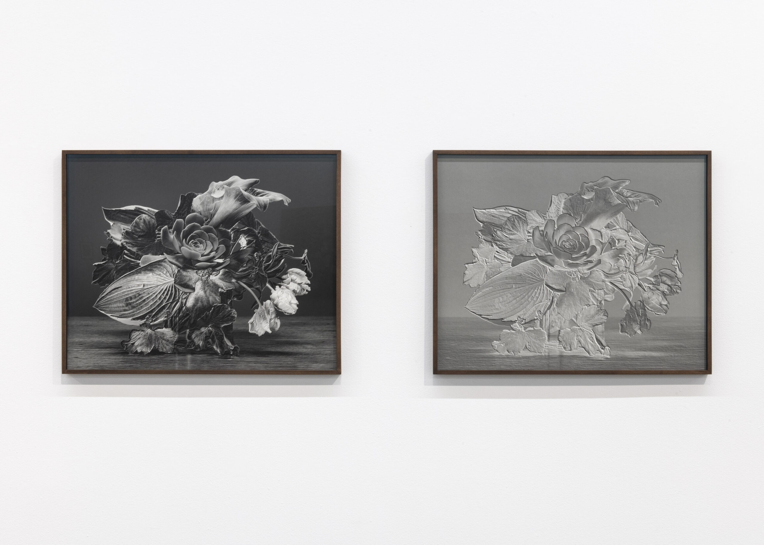 ARTS VISUELS: Van Gogh dans l’oeil de Jessica Eaton – En toutes lettres
